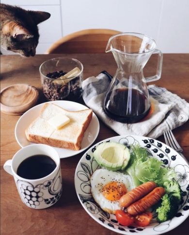 Câu động từ trong tiếng Nhật – Series học ngữ pháp tiếng Nhật